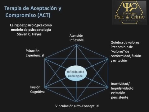 CURSO ONLINE: Análisis de Procesos en ACT – The Ledger Psic & Crime
